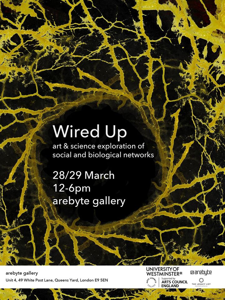 Broad Vision - 'Wired Up'