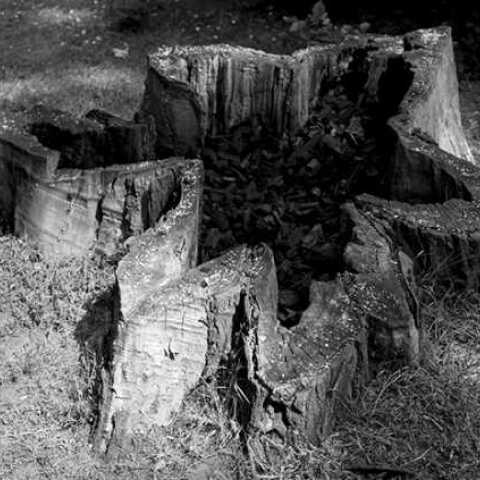 Artist's Talking: Sarah Rhys